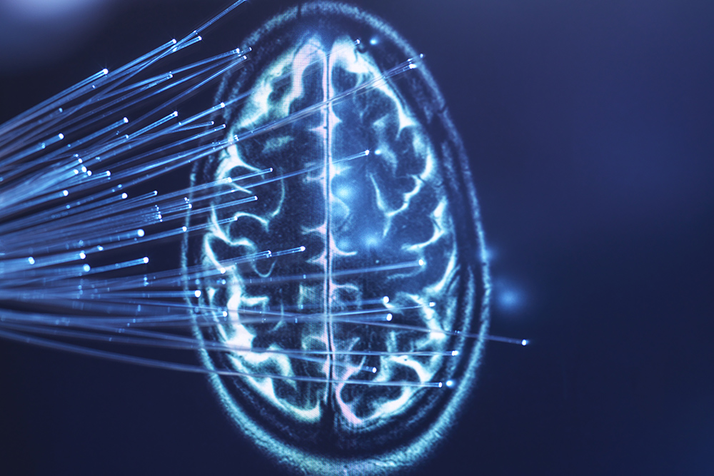 전신 근육 Mri 검사로 진단하는 케네디병의 경과 전문가 칼럼 헬스 서울아산병원 뉴스룸